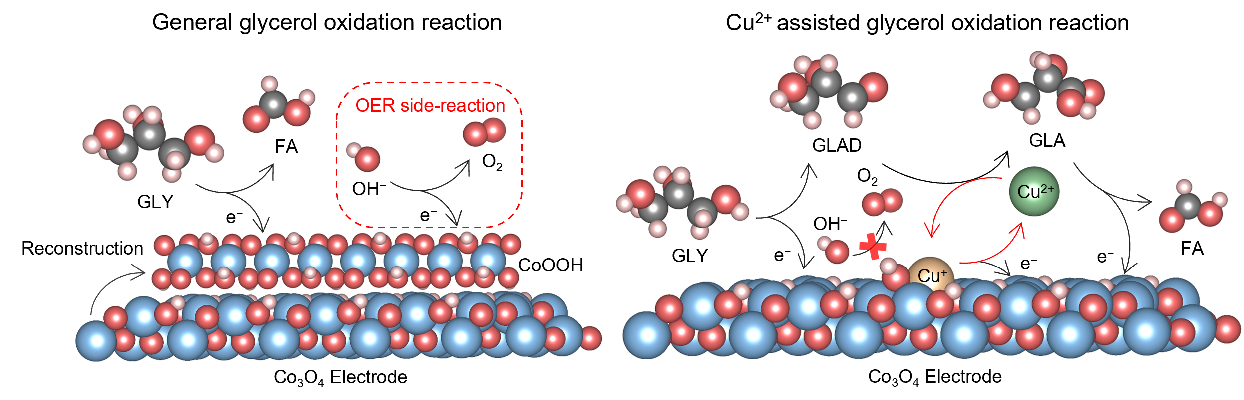 扬州大学Angew重磅成果：利用RapidXAFS解析Zn-B活性位点，实现类Fenton催化效率26倍提升！