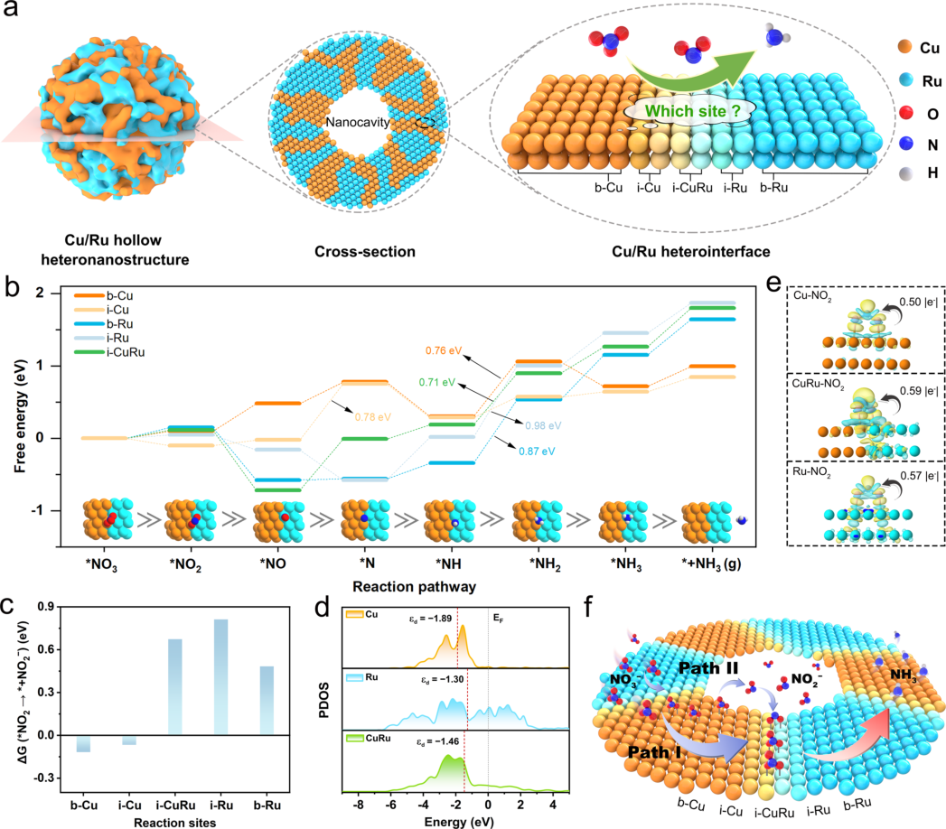扬州大学Angew重磅成果：利用RapidXAFS解析Zn-B活性位点，实现类Fenton催化效率26倍提升！